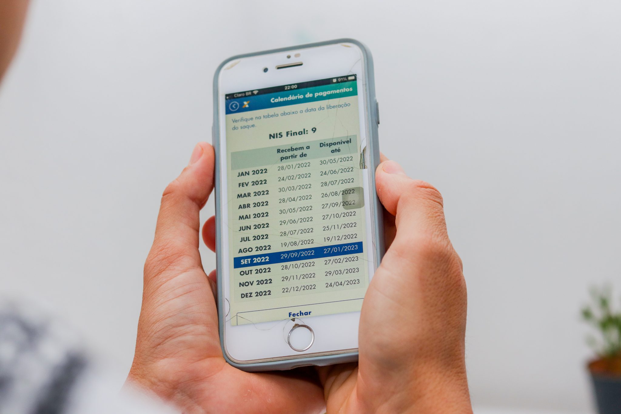 Aprenda a consultar seu NIS sem sair de casa: tem vários benefícios ...