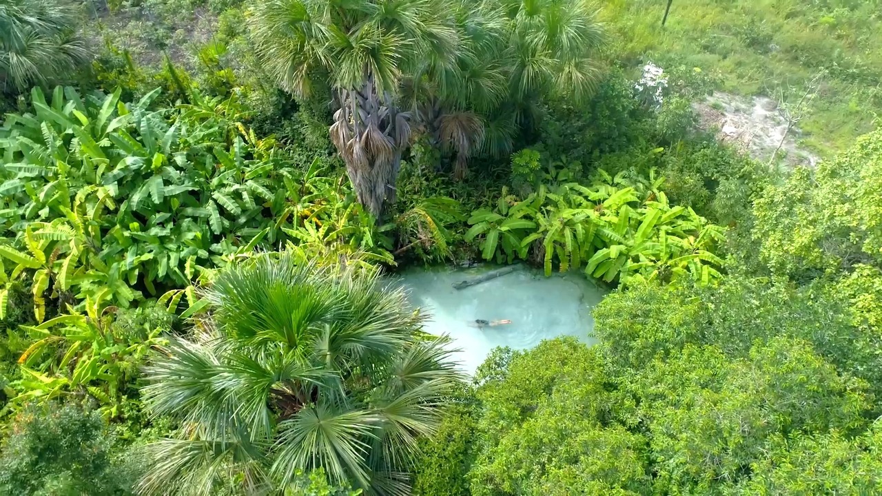Cenário impressionante do Brasil rodeado pela natureza - CadÚnico Brasil